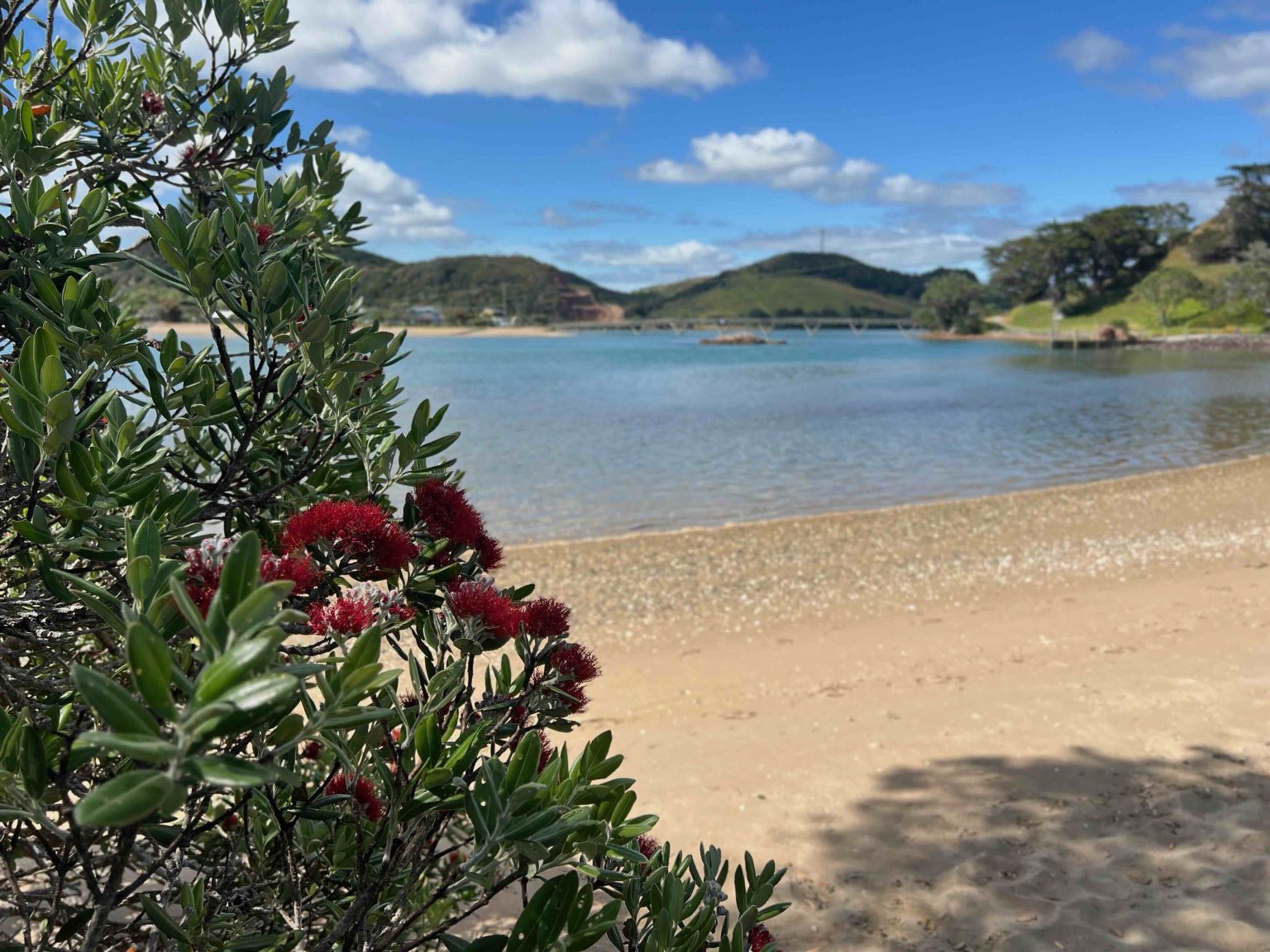 Why Hell Does Not Involve Eternal Torment - Awakening Impact Ministries ...